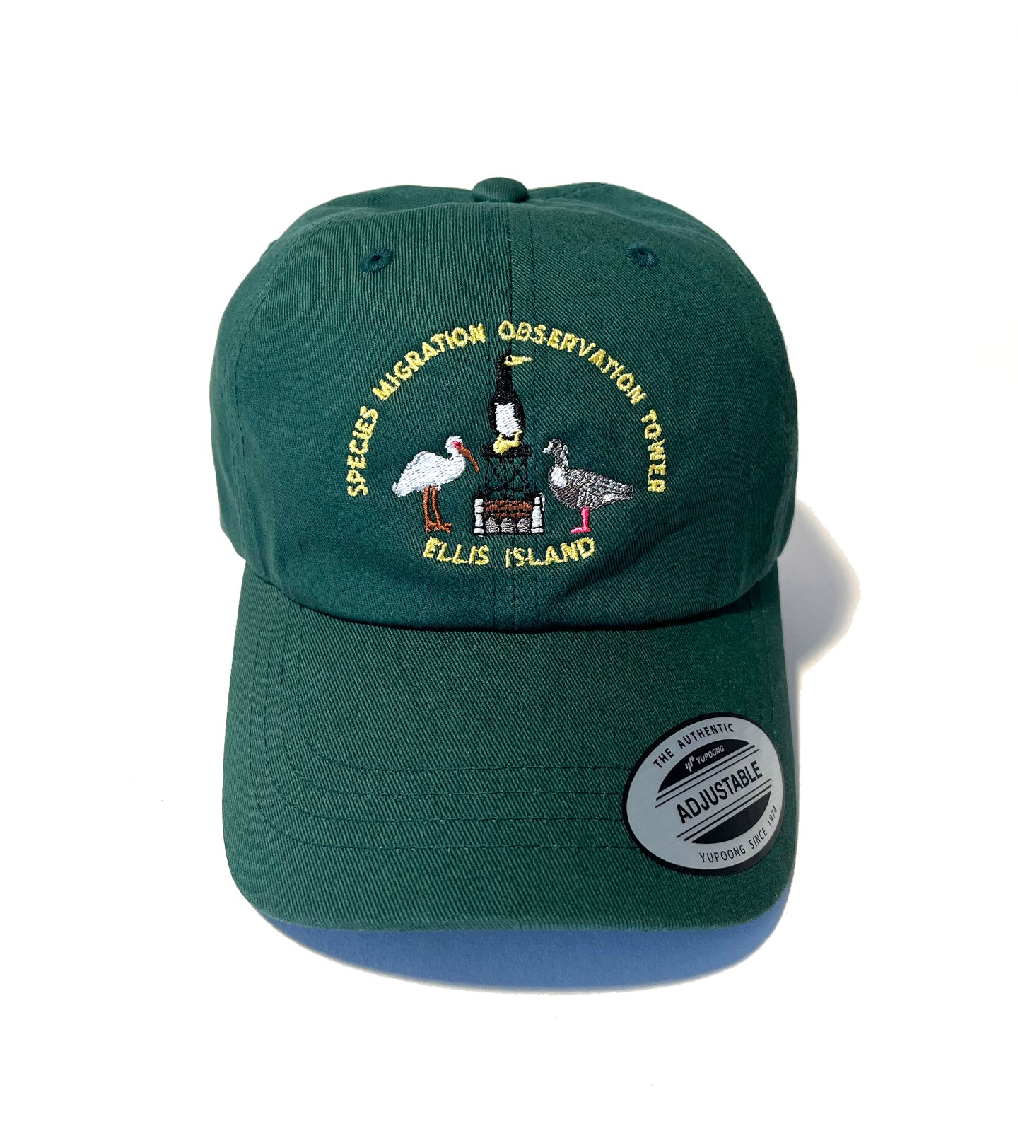 Future Climate Souvenirs of New York: Species Migration Observation To ...